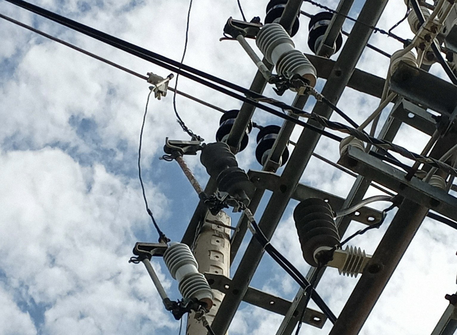 DT FCO TT Object Detection Dataset by BDPC AI GD2