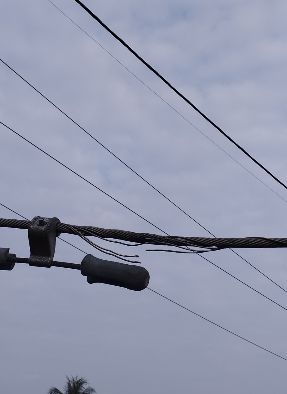 5. TT day dan tua CT Object Detection Dataset by BDPC AI GD2