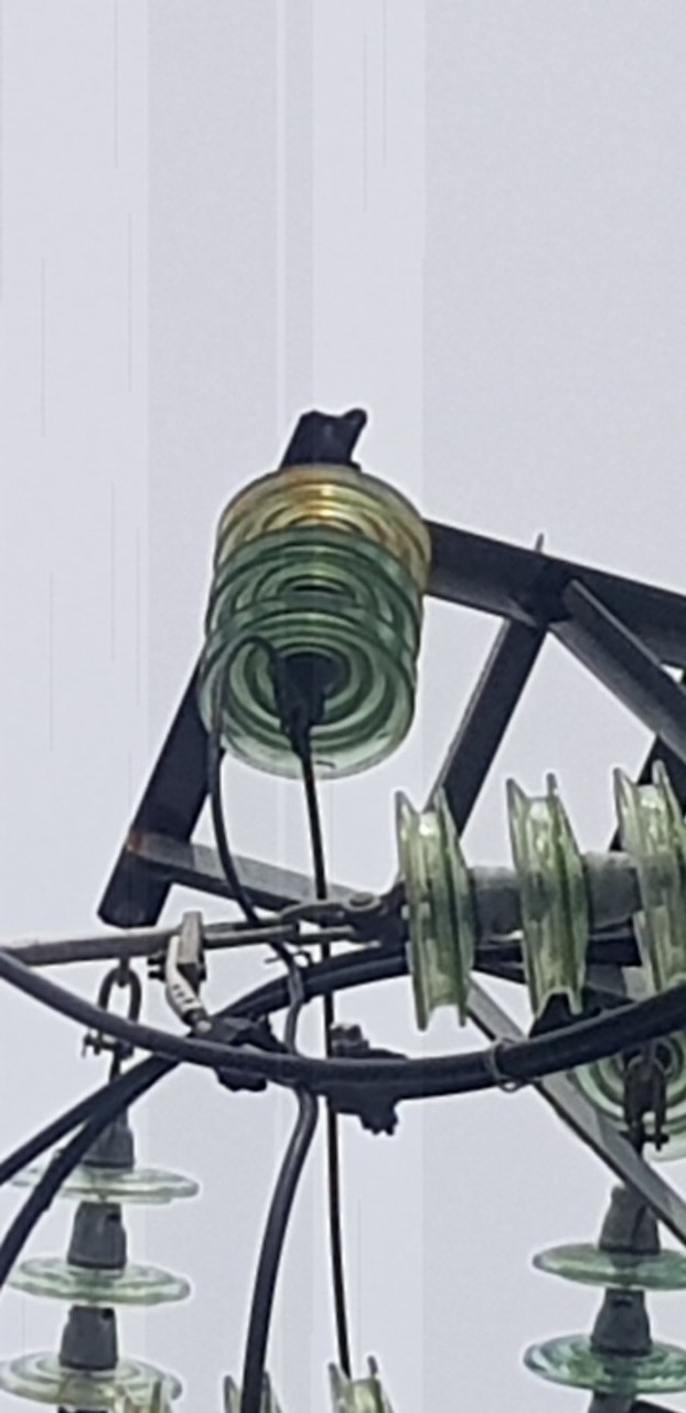 12. TT thuy tinh ban TT Object Detection Dataset by BDPC AI GD2