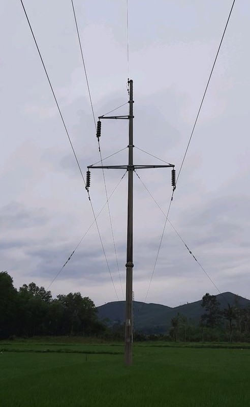 DT cot be tong CT Object Detection Dataset by BDPC AI GD2