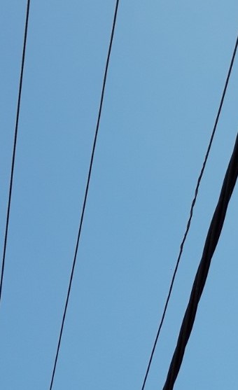 15. TT day tran tua TT Object Detection Dataset by BDPC AI GD2