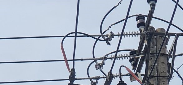 DT khoa neo ep TT Object Detection Dataset by BDPC AI GD2