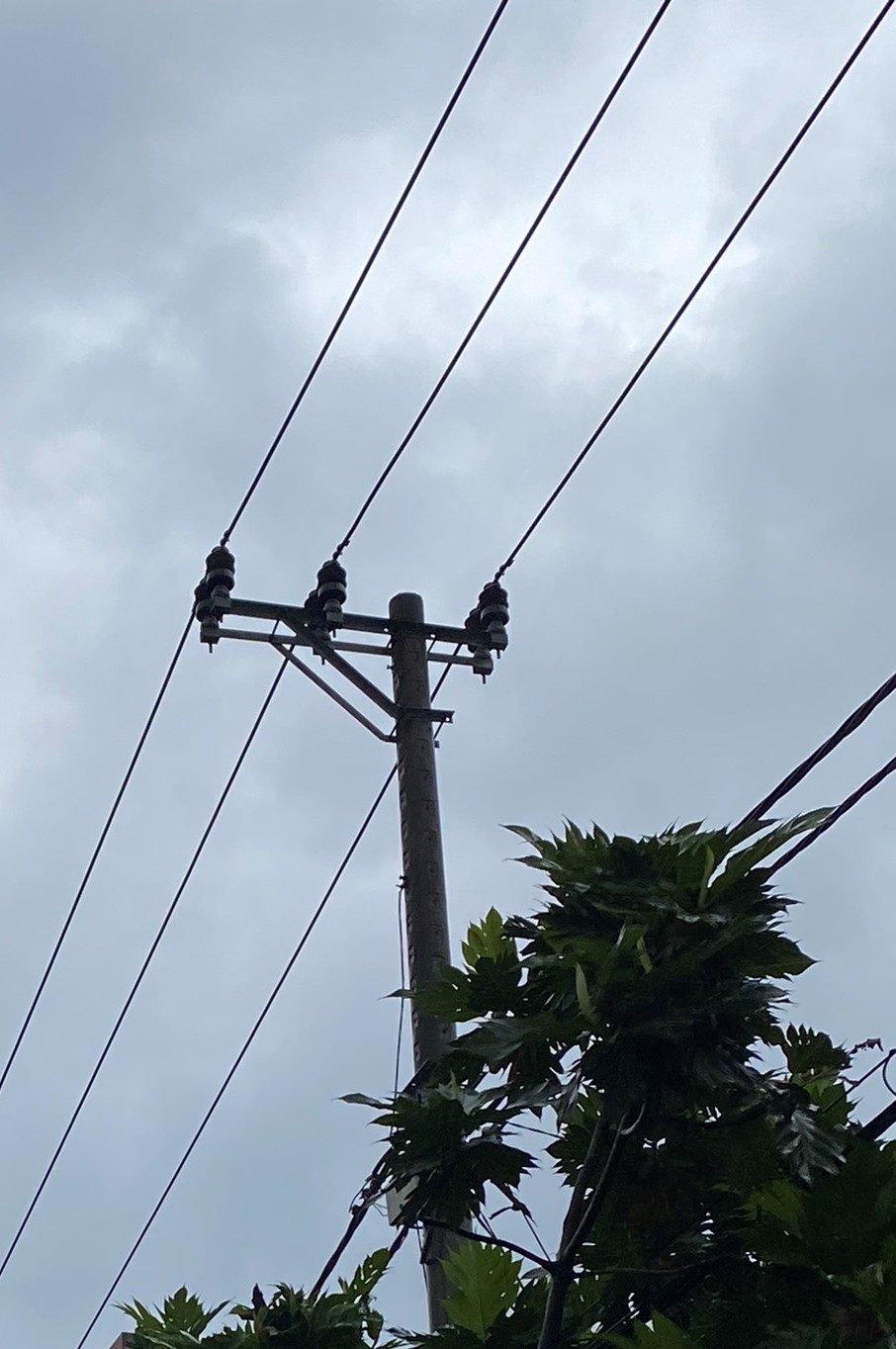 DT xa TT Object Detection Dataset by BDPC AI GD2