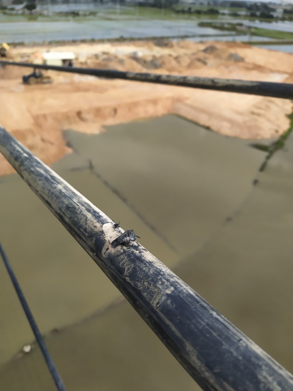 14. TT day boc phong dien TT Object Detection Dataset by BDPC AI GD2