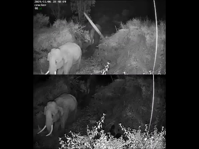 sample Object Detection Dataset and Pre-Trained Model by test