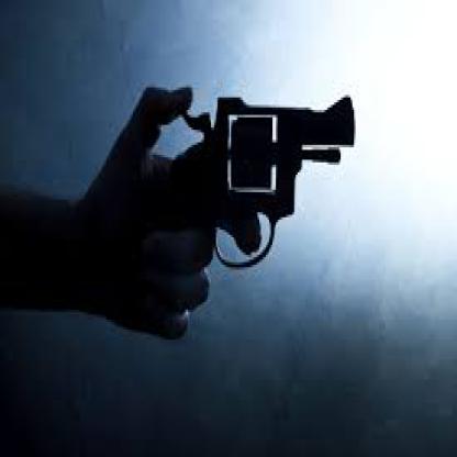 pistol dataset Object Detection Dataset and Pre-Trained Model by FYP