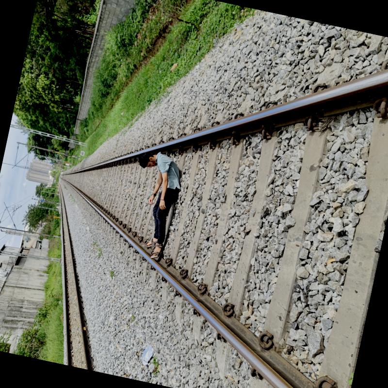 ravi train Object Detection Dataset and Pre-Trained Model by Train
