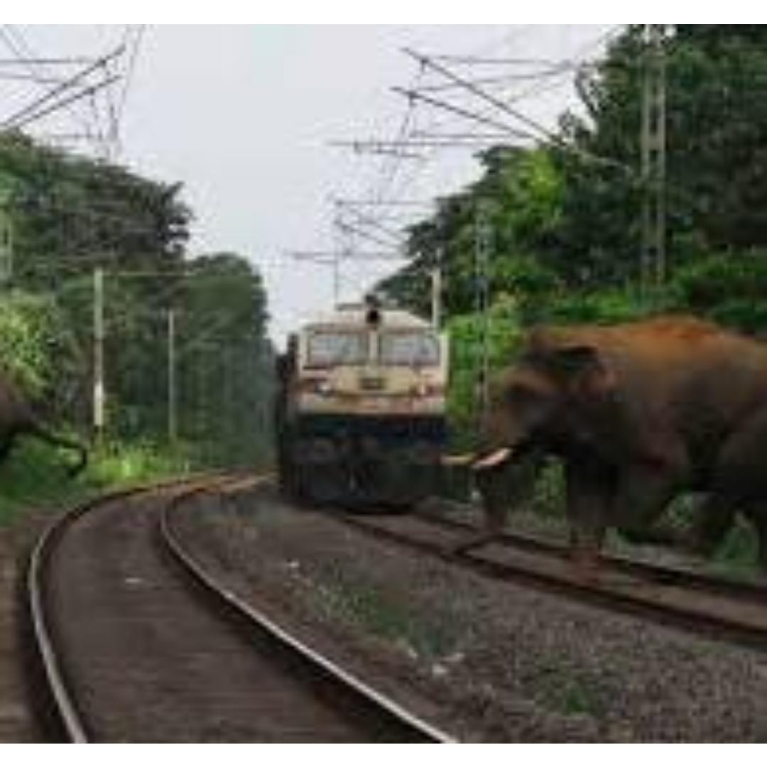 track xyz Object Detection Dataset by Train