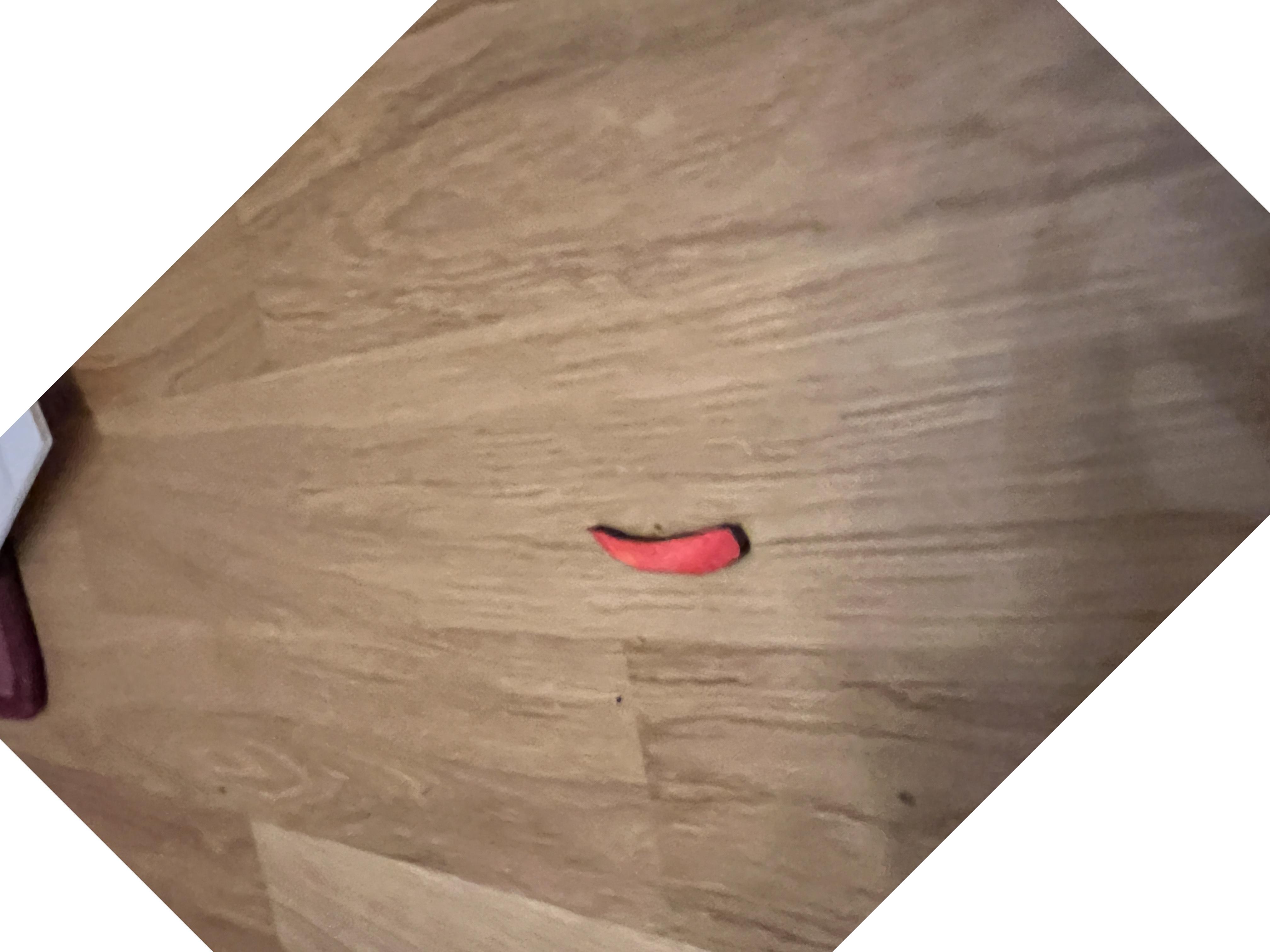 FireModel Object Detection Dataset by Xi Wang