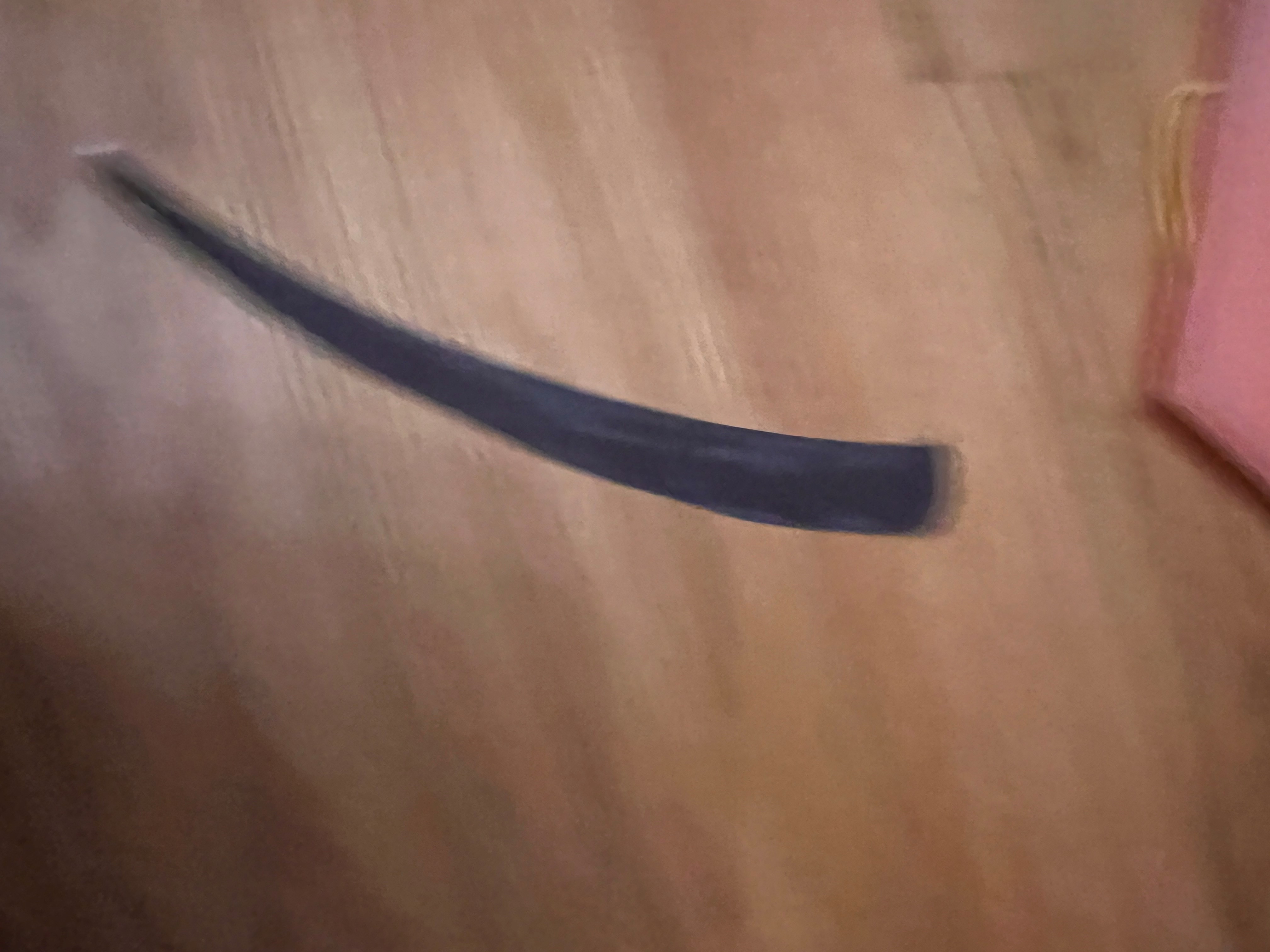 ren Object Detection Dataset by Xi Wang