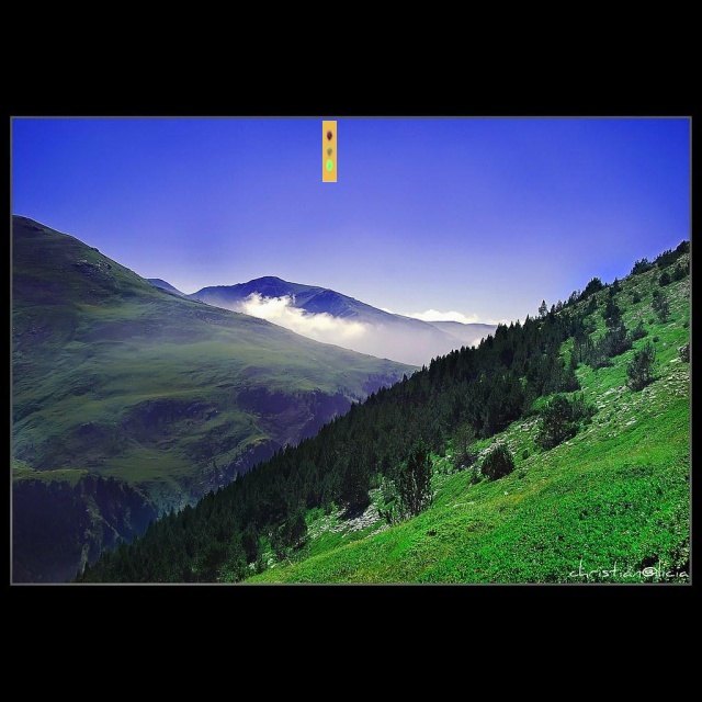 Green Traffic Lights Object Detection Dataset By Quanser 2024