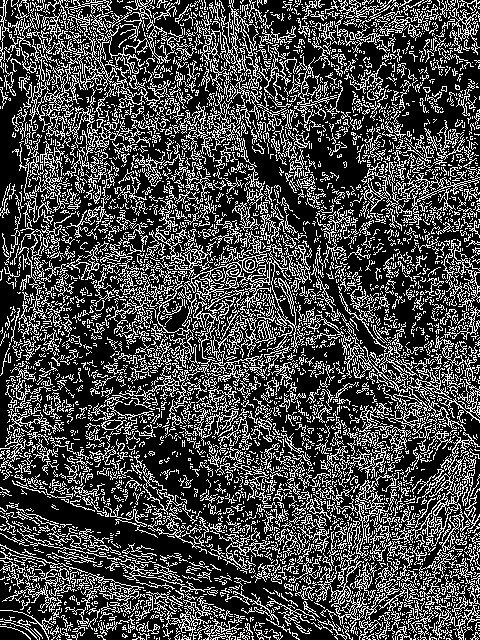 Yolo Trash Detection Object Detection Dataset And Pre Trained Model By Trashdetectionmodel