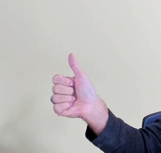 hand tracking and gestures Object Detection Dataset and Pre-Trained Model by Project 1