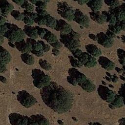 Chaparral Object Detection Dataset by Ahmed Iftikhar