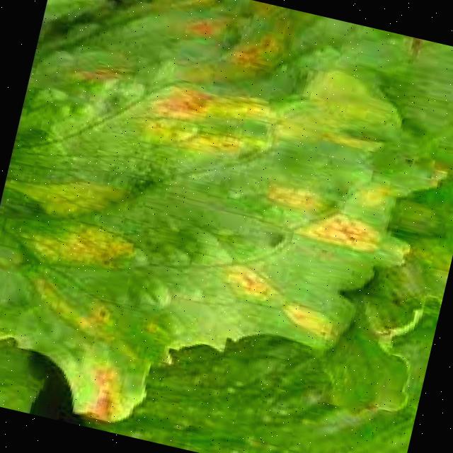 disease lettuce Object Detection Dataset by yssp