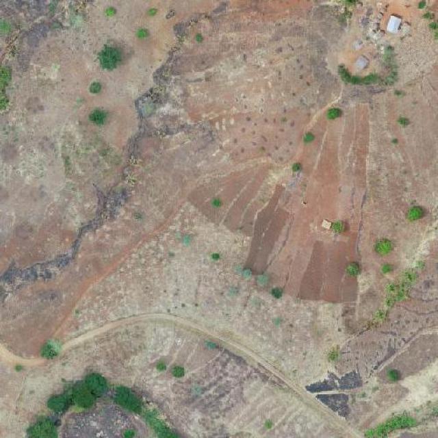 bbox-shear-f Object Detection Dataset by jiwonny29