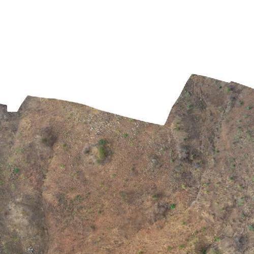 Bbox Augmentation Object Detection Dataset By Jiwonny29