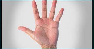 hand Object Detection Model by hand