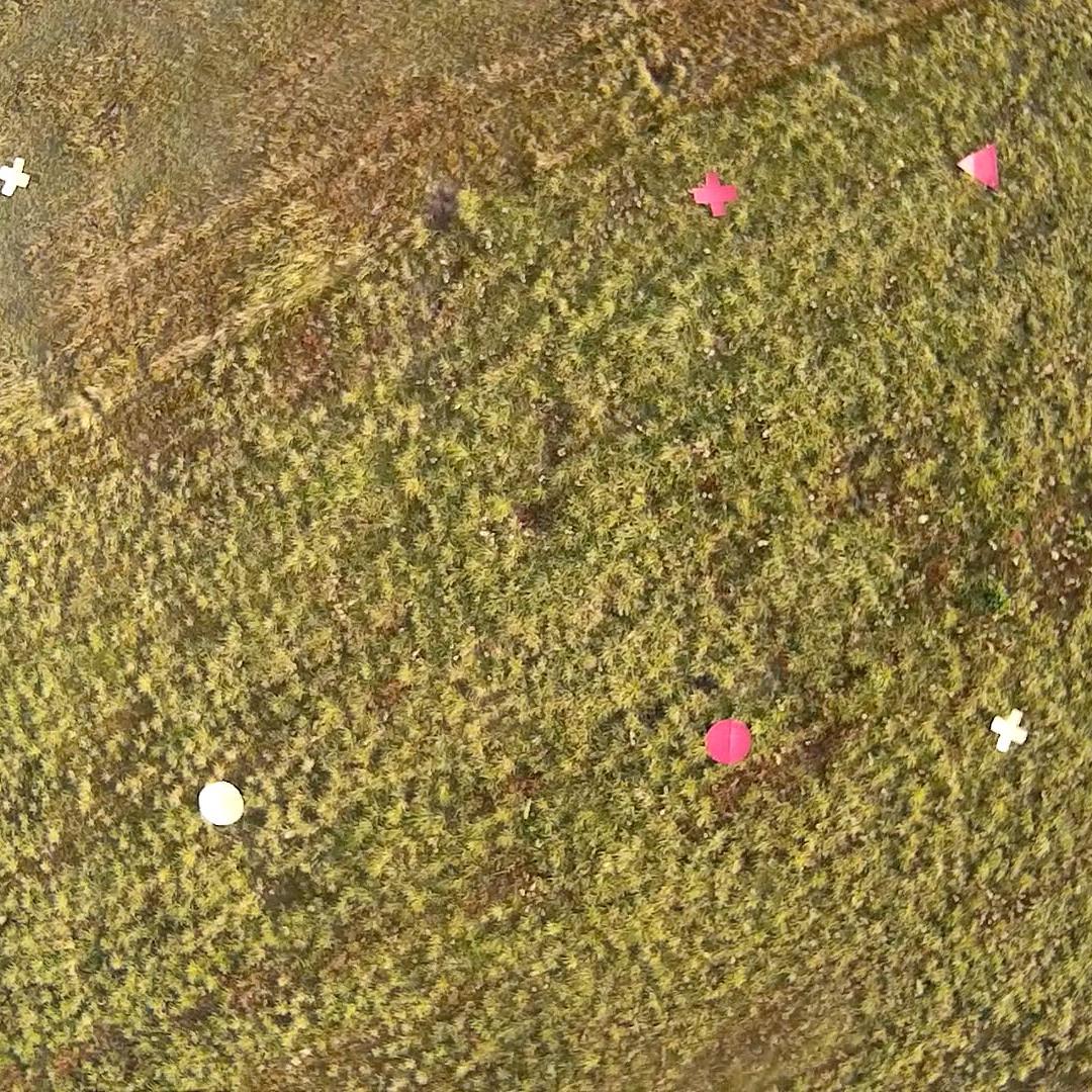 Insa Joris Roboflow Universe