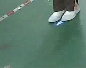 ugzi Classification Dataset by project-aonlz