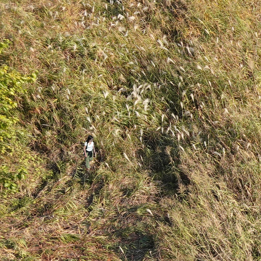 arrf_comp2_ori Object Detection Dataset by Sasanka Kuruppu Arachchige