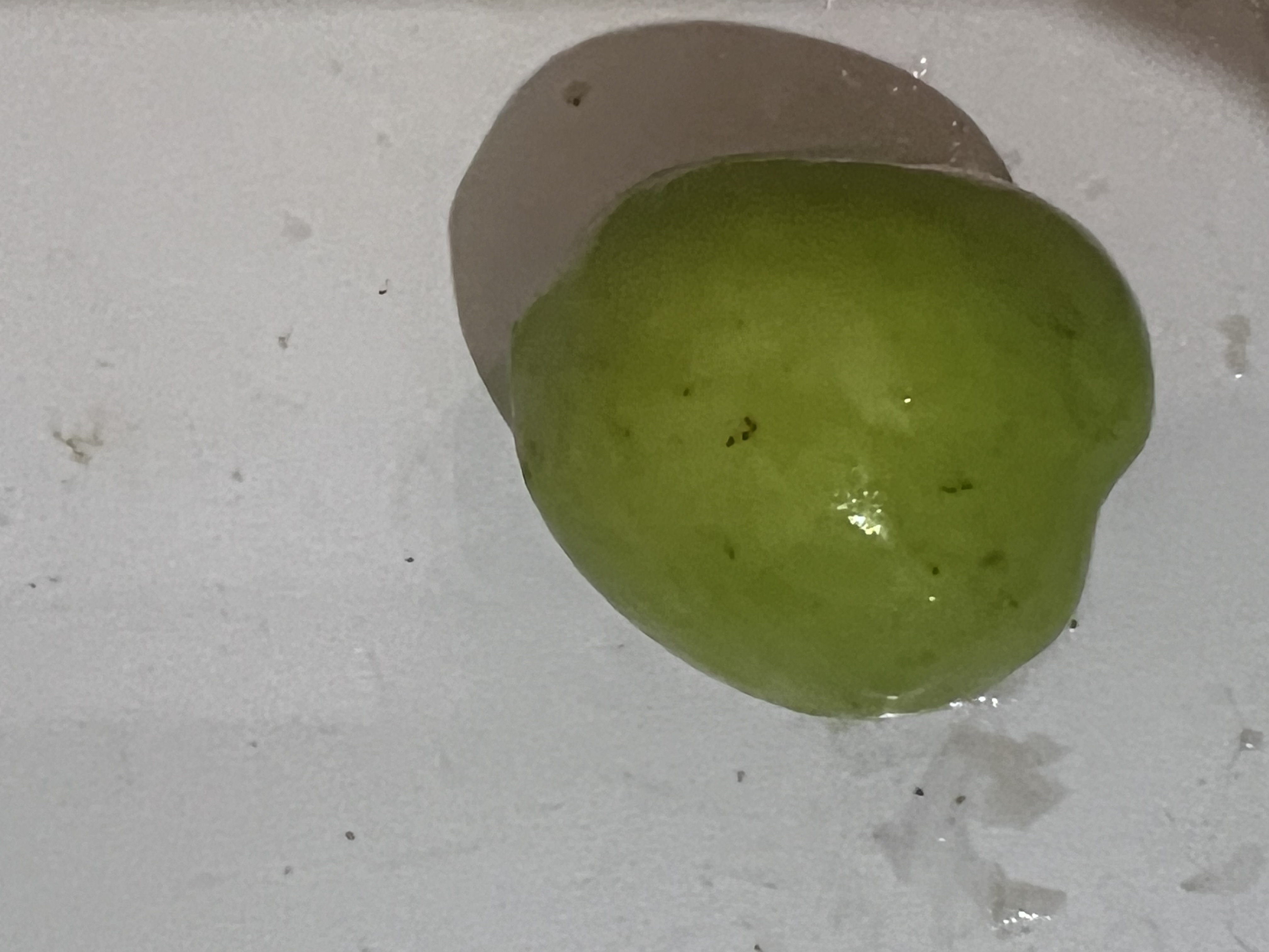 Tomato Projecto Object Detection Dataset And Pre Trained Model By Tomato