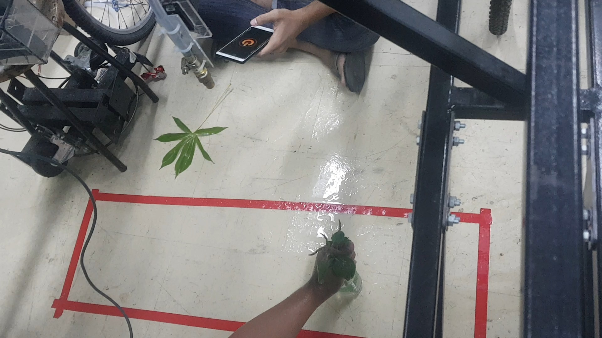 Weed Cassava Object Detection Dataset And Pre Trained Model By Tistr