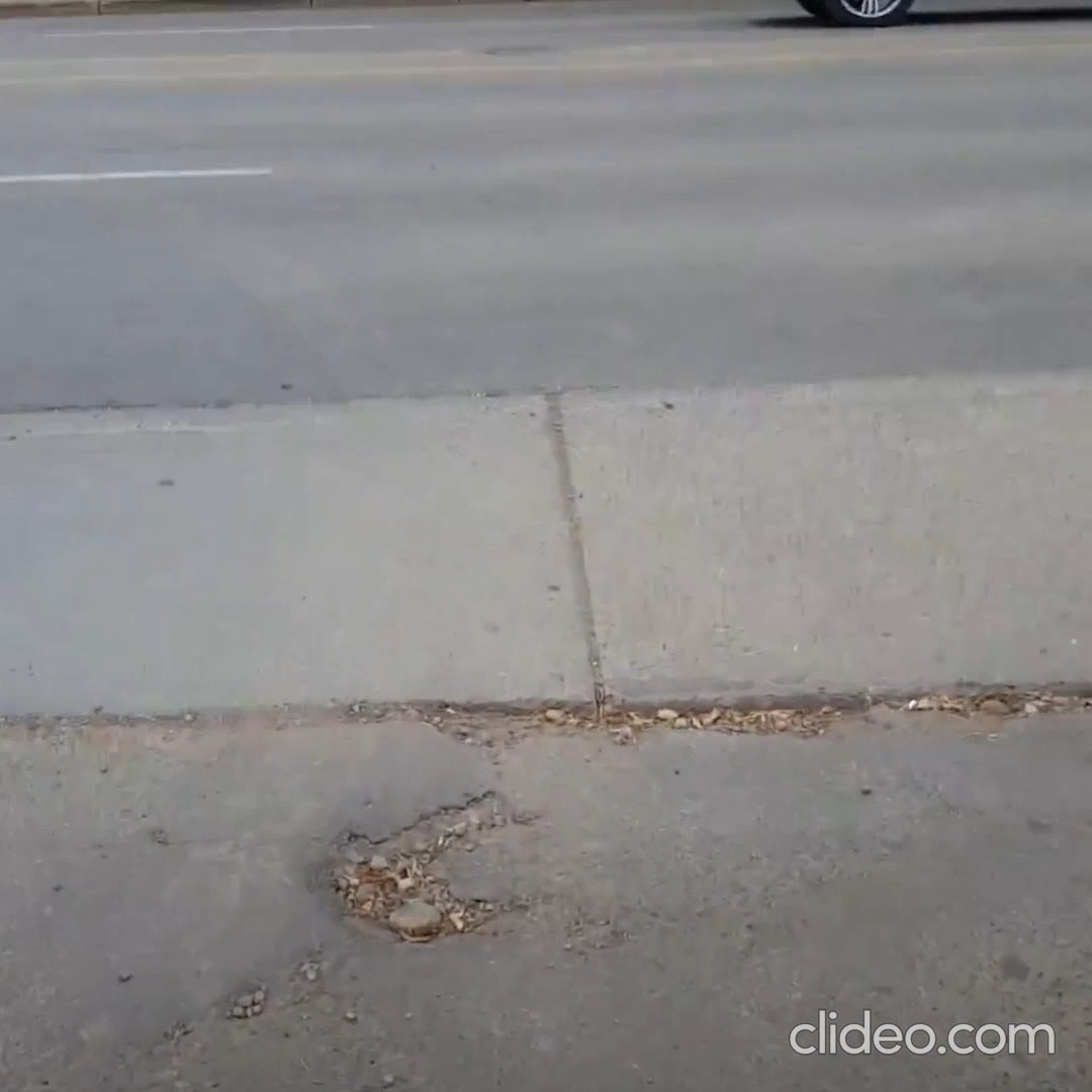 ABCD-A 기말고사 프로젝트 Instance Segmentation Dataset by project-l3e8p