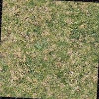 grass detection - Roboflow Universe