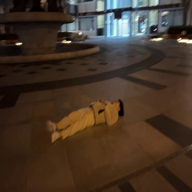 fallen person Object Detection Dataset and Pre-Trained Model by project ...