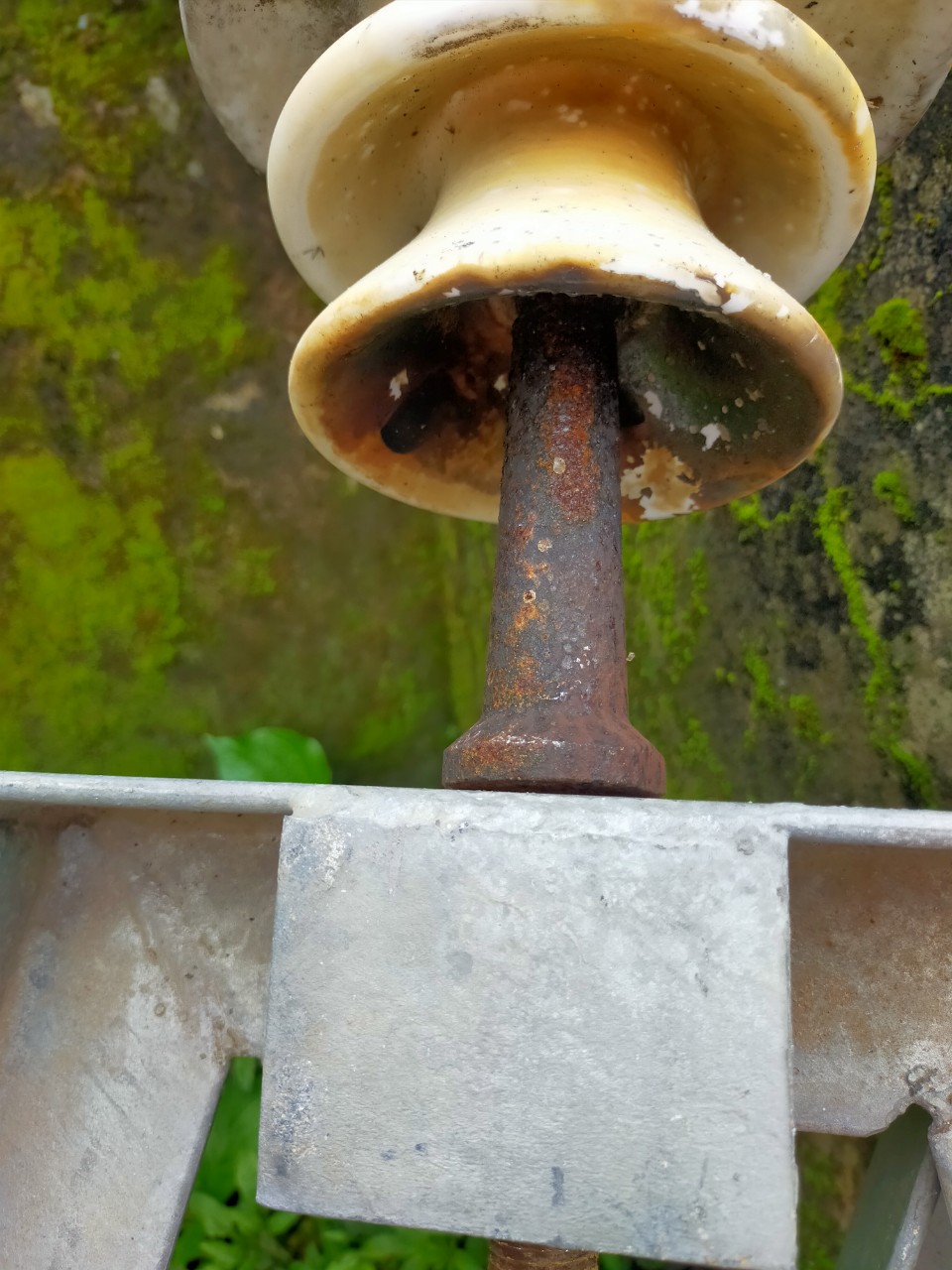 QNAPC Object Detection Dataset and Pre-Trained Model by QNaPC