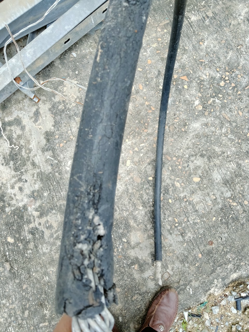 ddan_tt_mon Object Detection Dataset by QNaPC