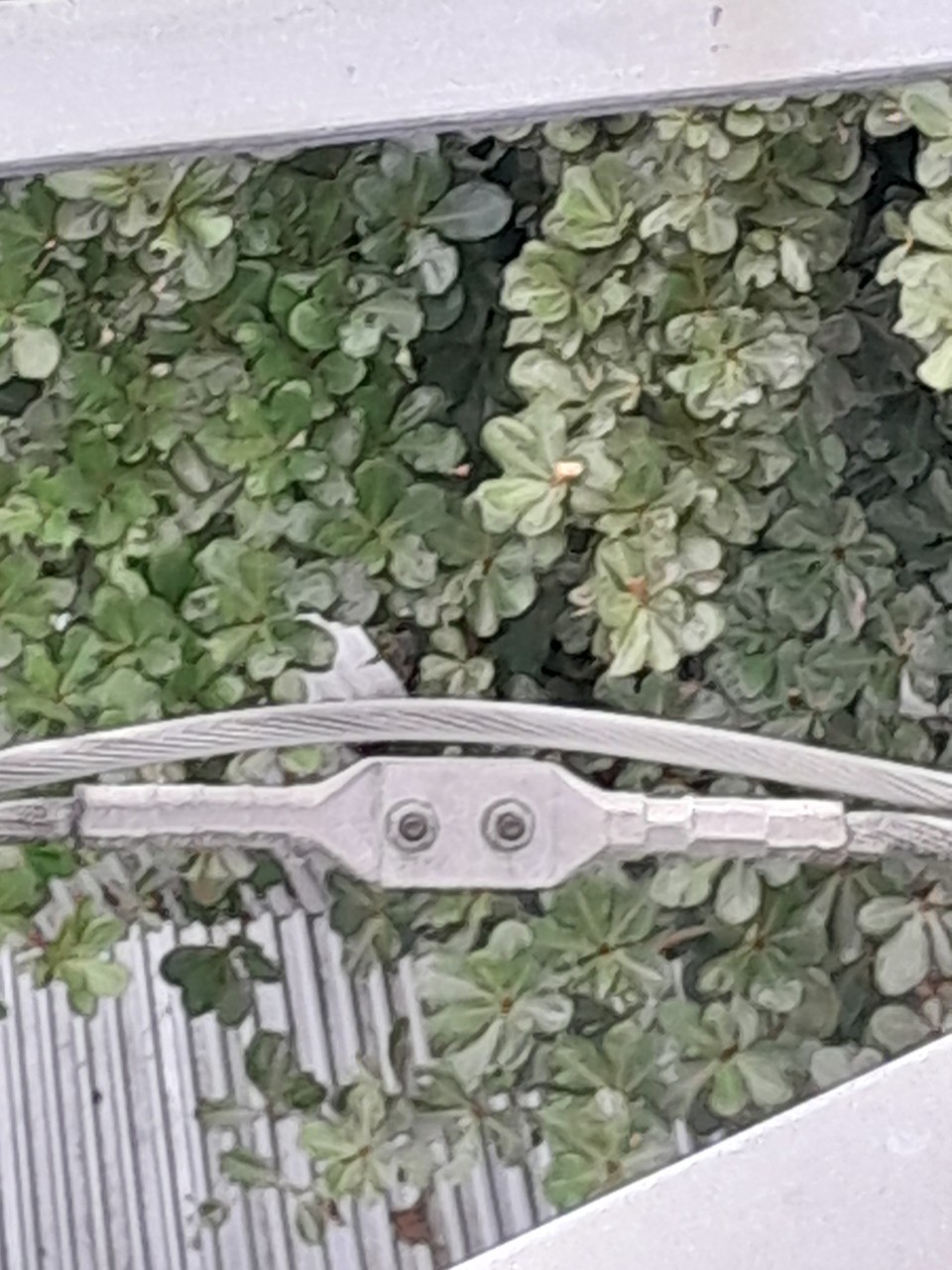 leo_ct Object Detection Dataset by QNaPC