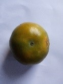 Jeruk Siam Object Detection Dataset by Jeruk Siam