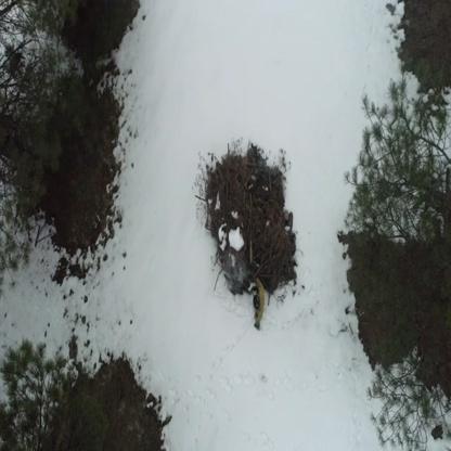 Fire Dataset (fire-dataset-nxh8e) - Roboflow Universe