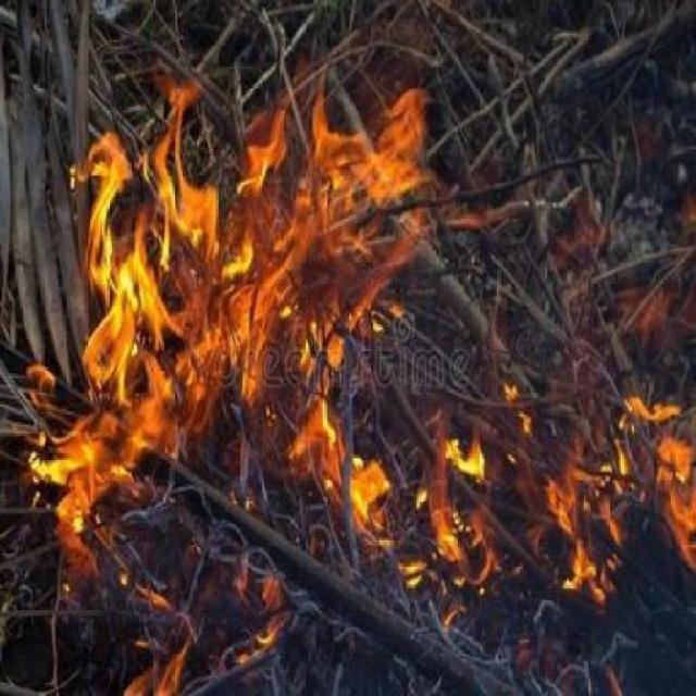 Fire Object Detection Dataset By Fire Dataset