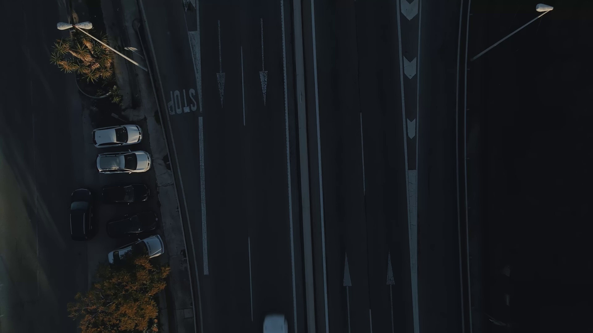 uyz_za_1 Object Detection Dataset by Zeynep Alperen