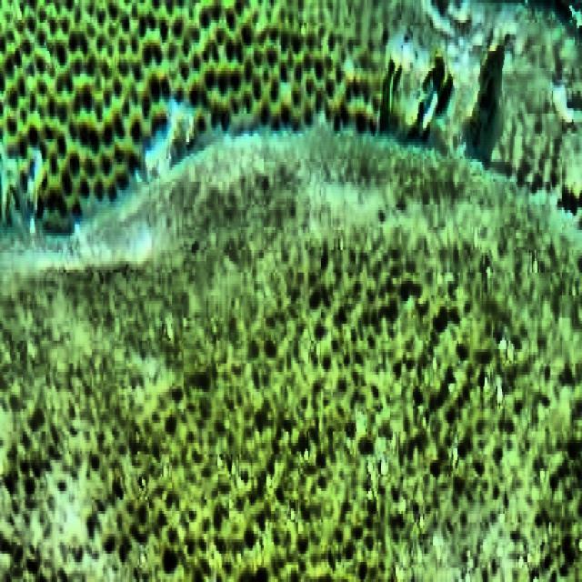 coral Object Detection Dataset by coral