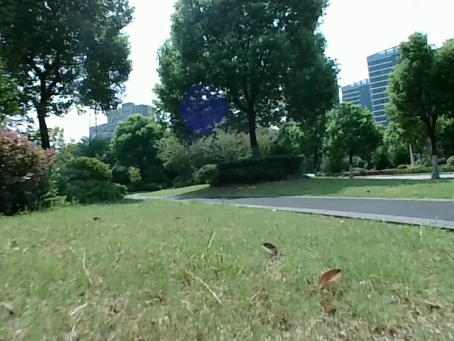 lawn_segementation Instance Segmentation Dataset by YOLOV5