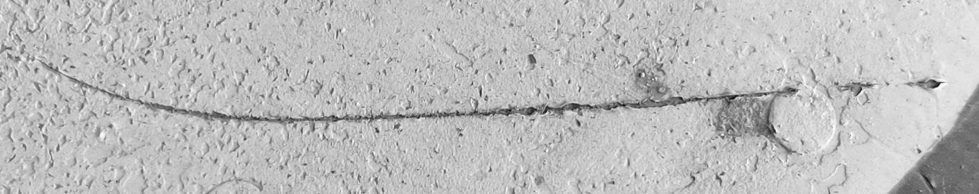 aircraft-defects-classification-merged-final Classification Model by ...