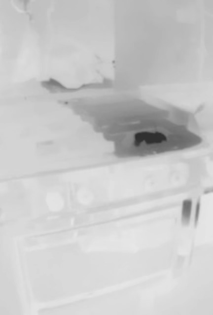 segmentation Instance Segmentation Dataset and Pre-Trained Model by ...