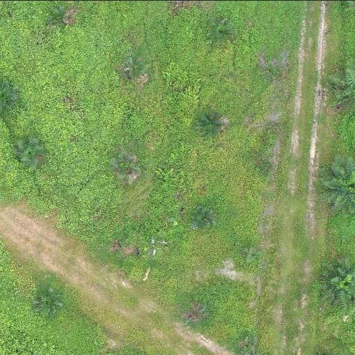 cal Object Detection Dataset by Tarc
