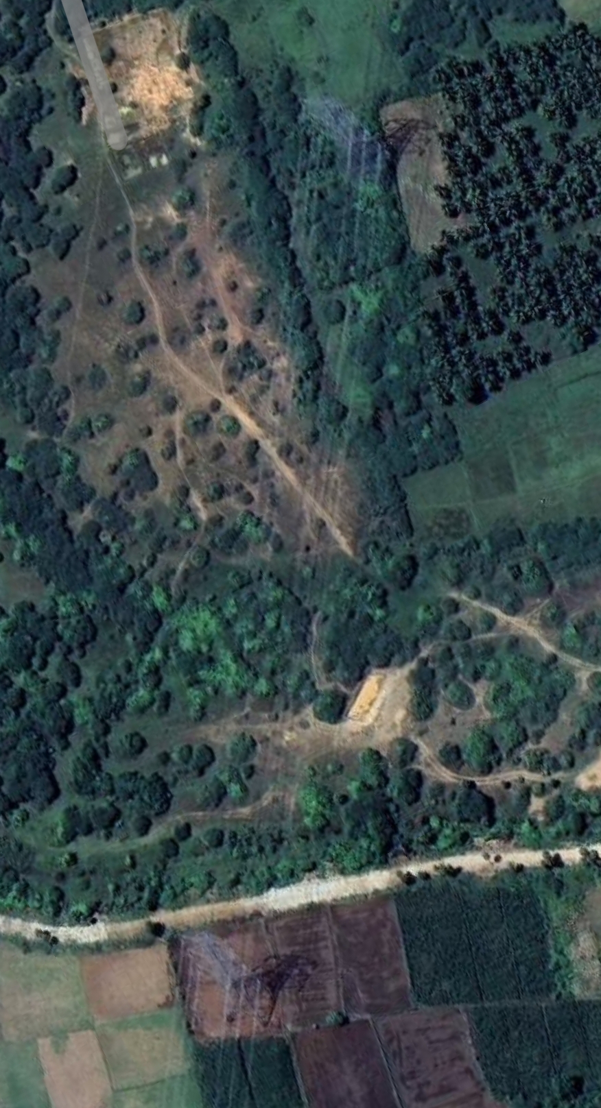 project 1 Object Detection Dataset and Pre-Trained Model by project