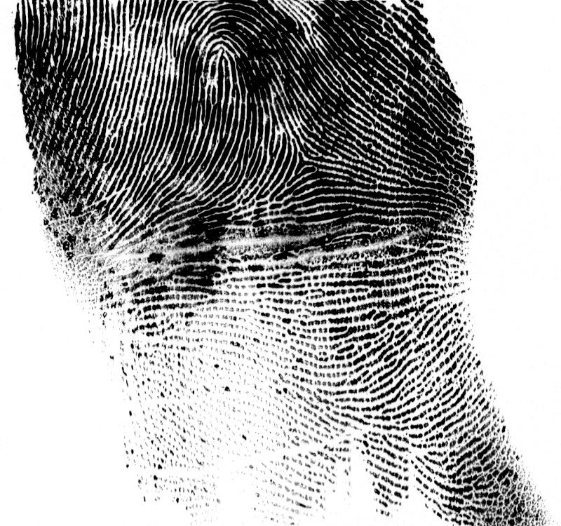 Fingerprint Detector Object Detection Dataset and Pre-Trained Model by RotexHCB