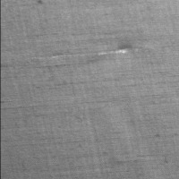 class:thread-error | Roboflow Universe Search