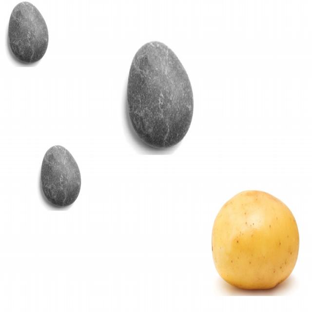 potato Object Detection Dataset by Train