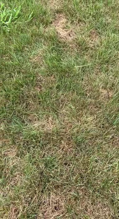 G-OD-V1 Object Detection Dataset by Iowa State university