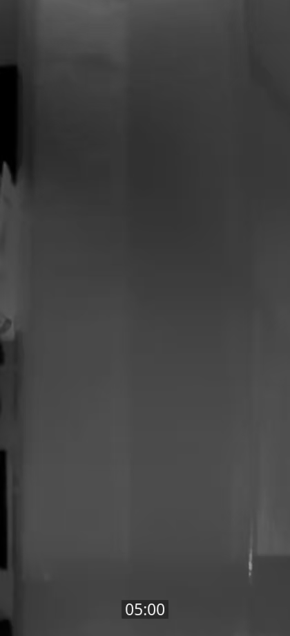 Bees Detection Tracking Object Detection Dataset By Myworkspace