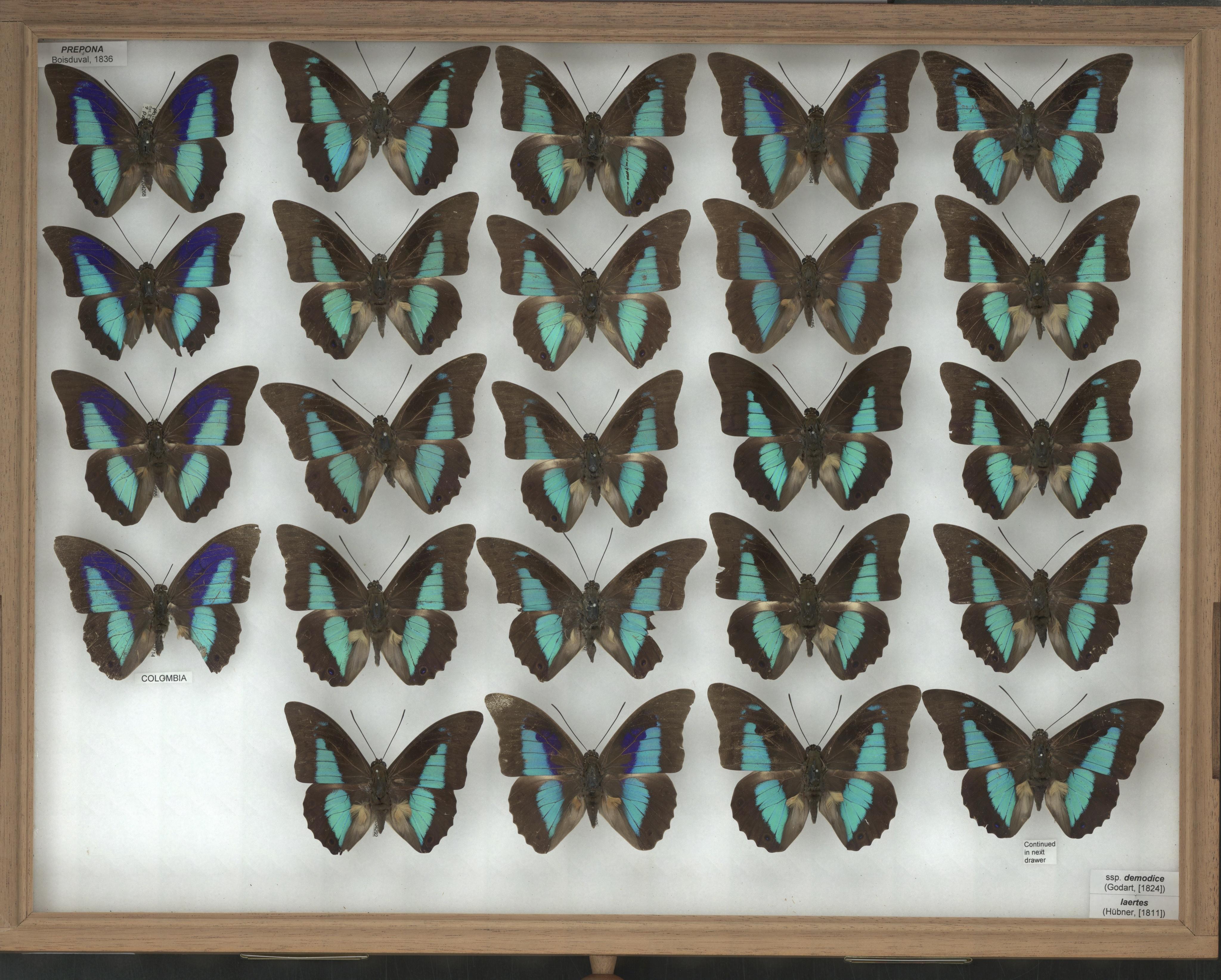 Project Instance Segmentation Dataset And Pre Trained Model By Object Detection