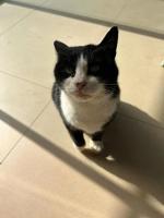 Ychan - Roboflow Universe